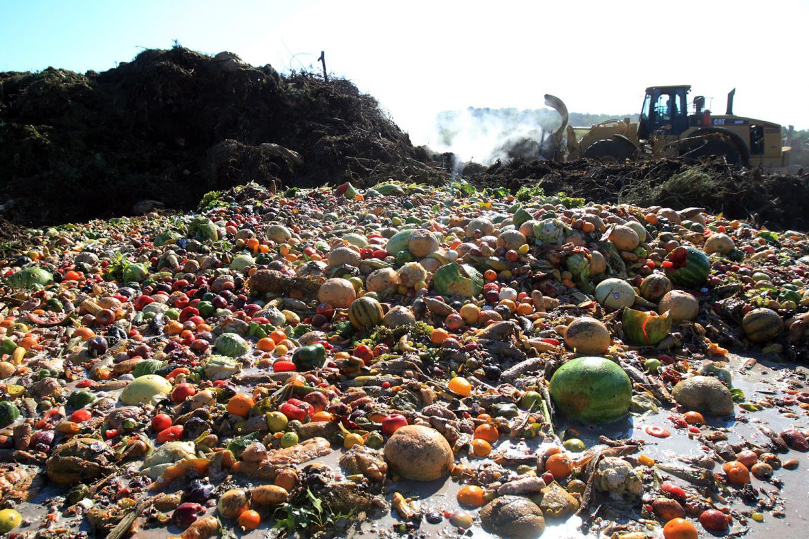 Precisamos falar sobre a perda e o desperdício de alimentos - Portal ...